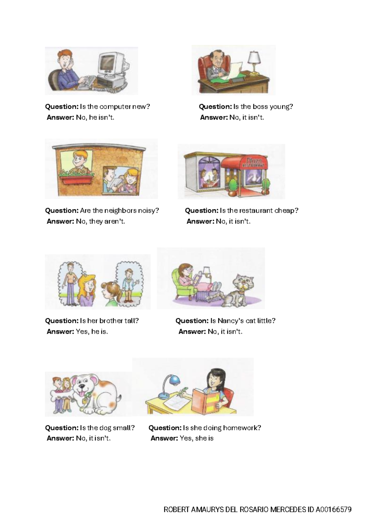 Del Rosario Mercedes Robert Amaurys Short affirmative and negative ...