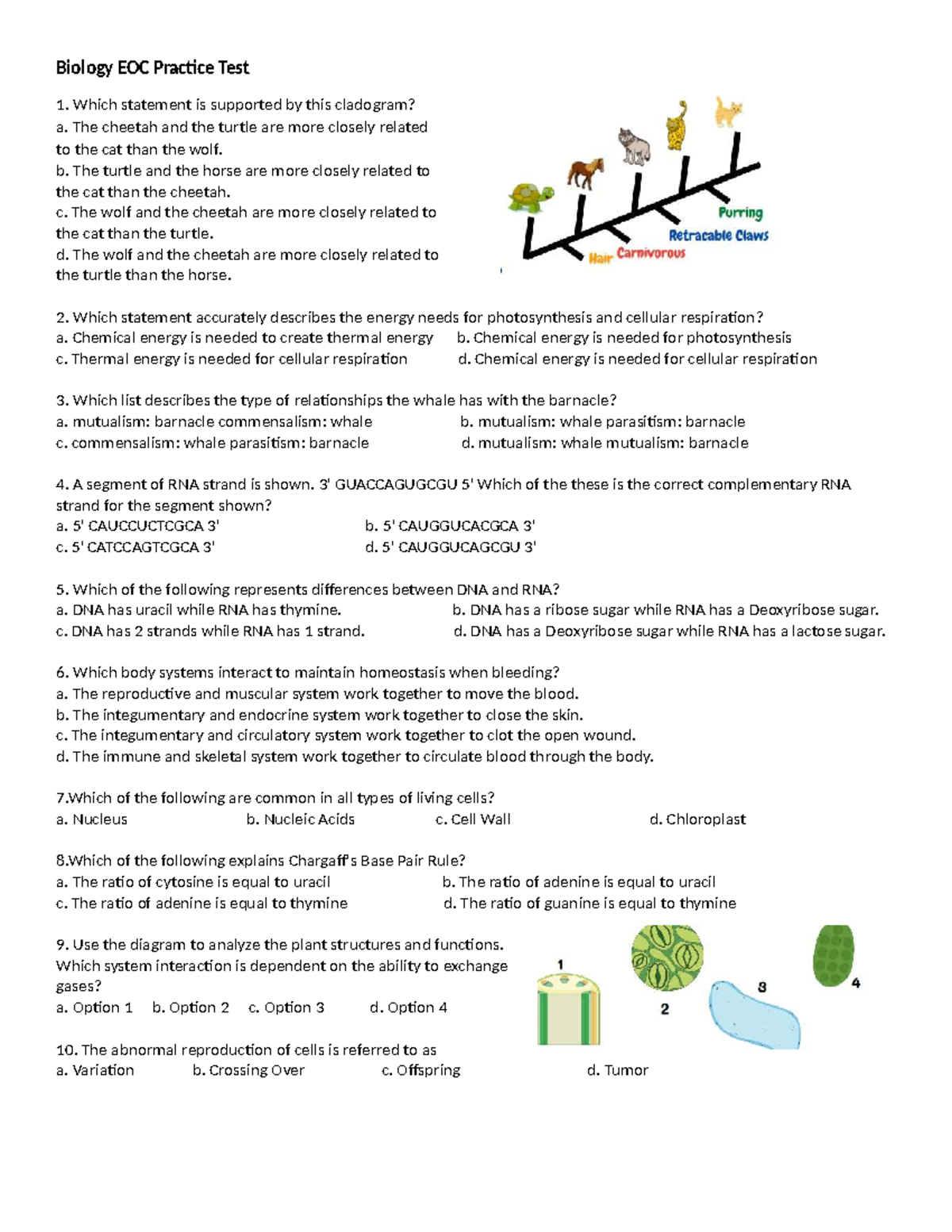 Biology EOC Practice Test for Saturday School: Comprehensive Review ...
