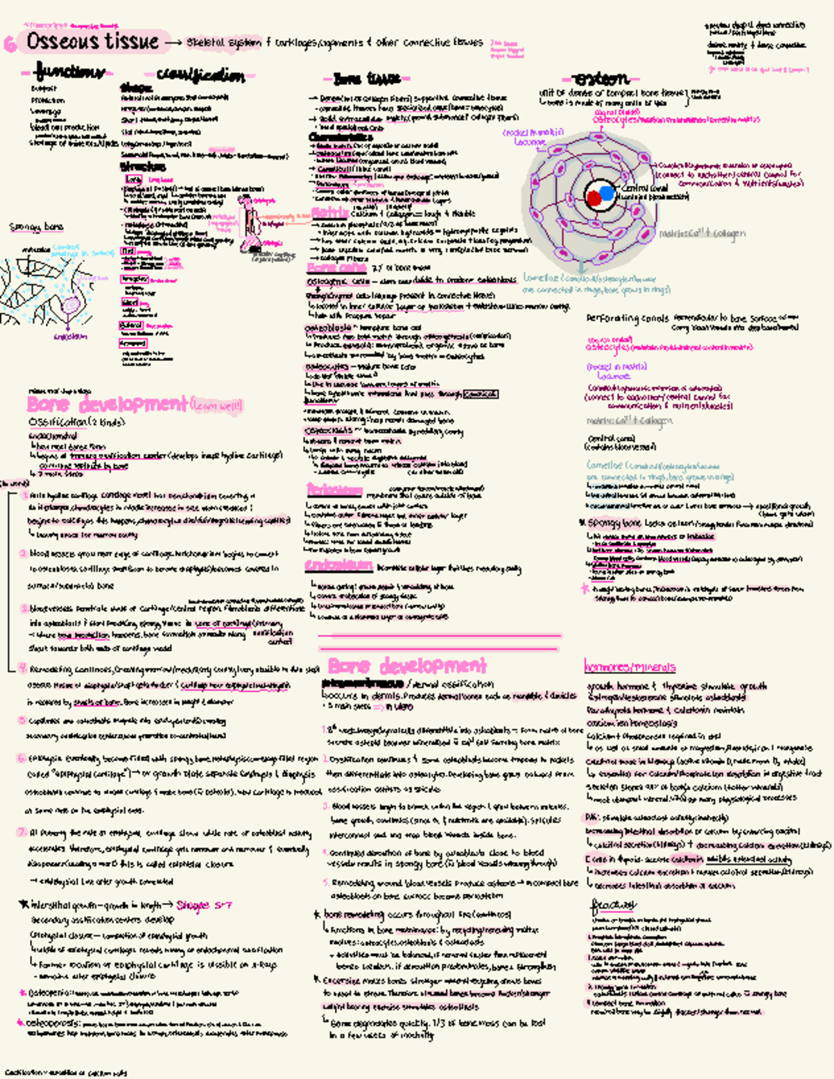 NURS 106 - Lecture Notes on Osseous Tissue and Bone Fractures - Studocu