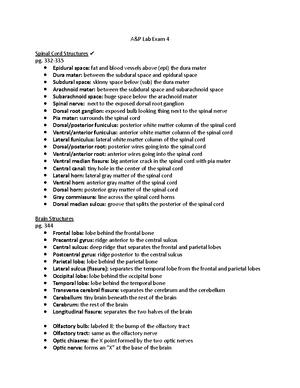A&P Lab Exam 3 Guide - A&P Lab Exam 3 Guide Actions are movements ...