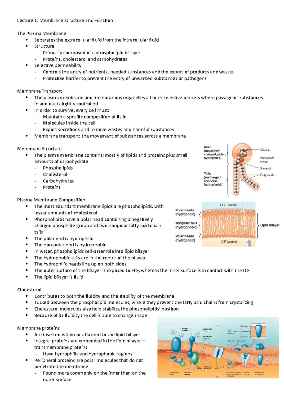 Lecture Notes on Plasma Membrane & Transport (Course Code: BIO101 ...