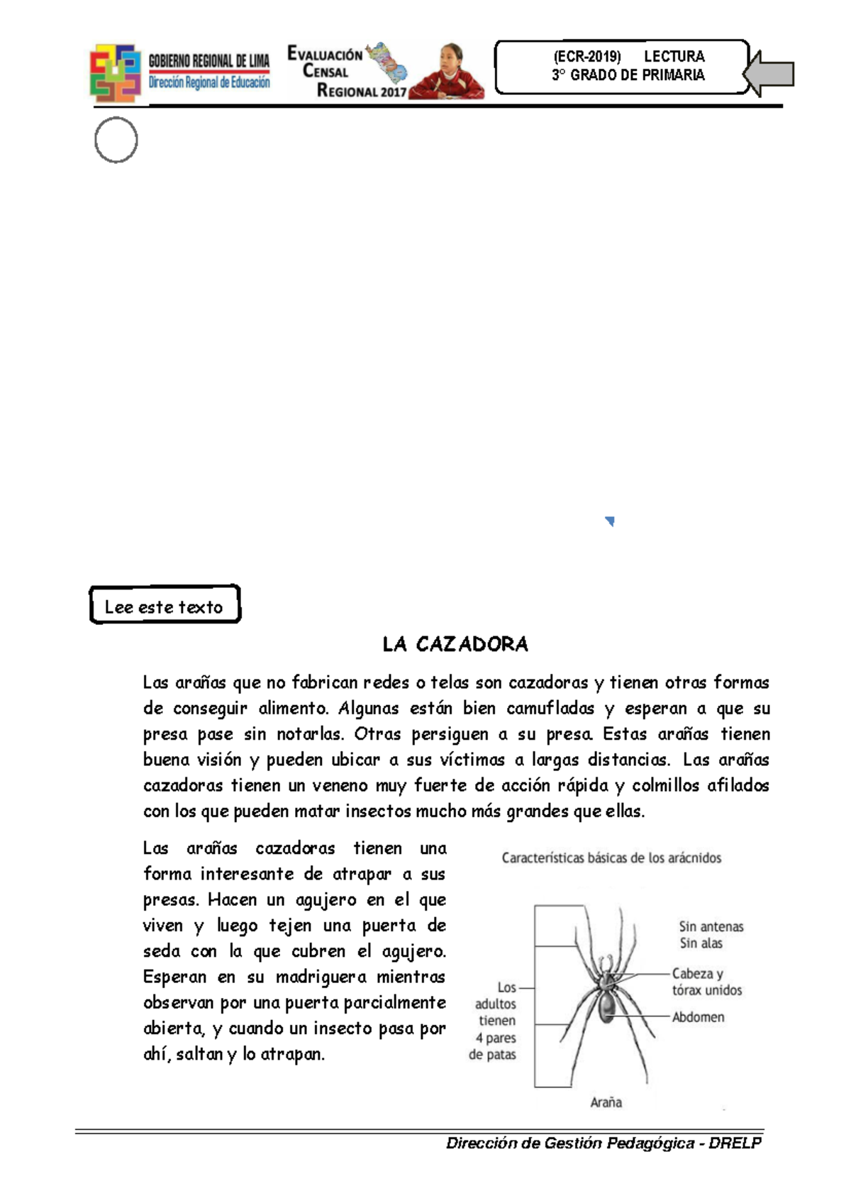 LECTURA GRADO DE PRIMARIA 4: Las Arañas Cazadoras y su Estrategia - Studocu