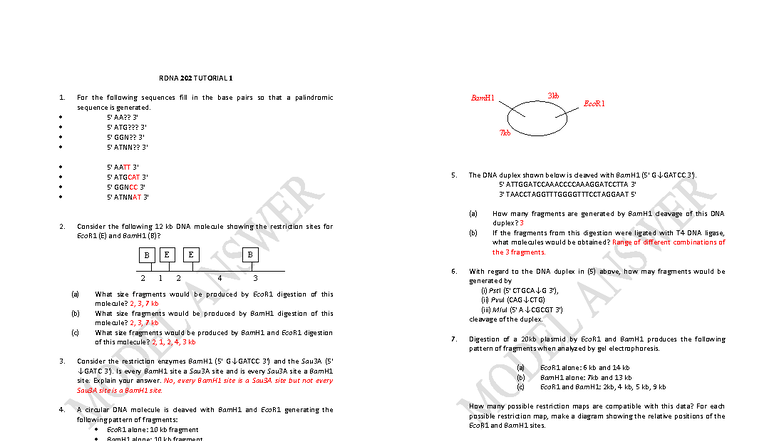 RDNA 202 TUTORIAL 1: Palindromic Sequences & Restriction Enzyme ...