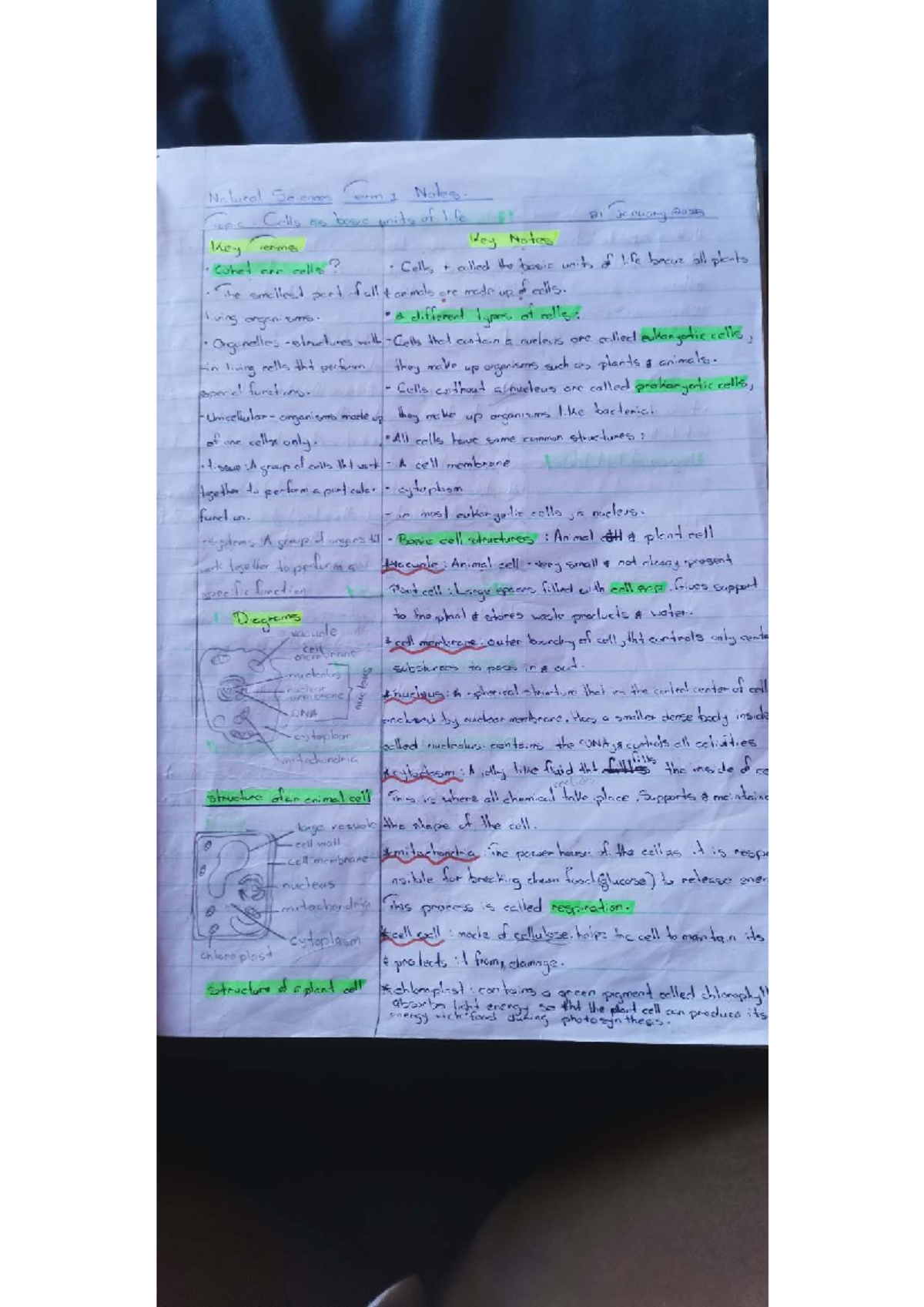 Ns(1,2) - Term 1 Notes on Cells as Basic Units of Life - Studocu
