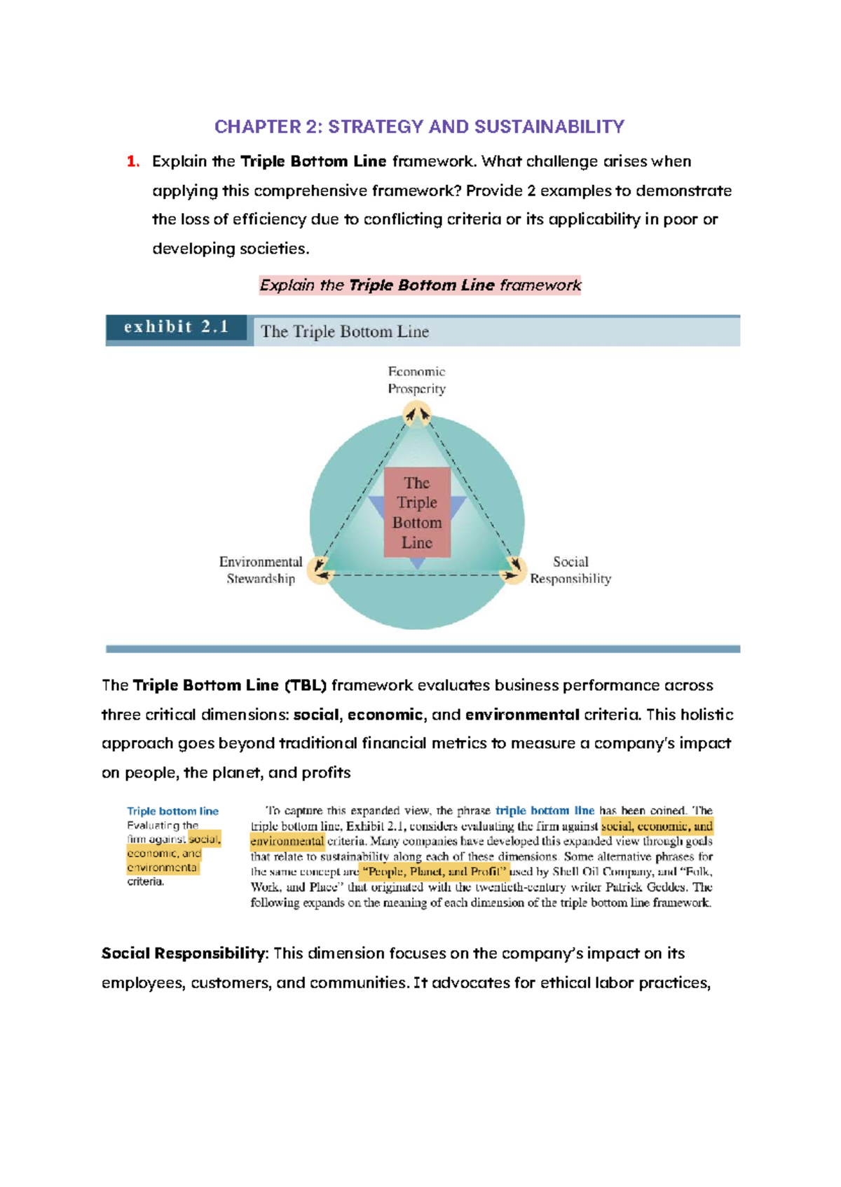 CHAPTER 2: STRATEGY AND SUSTAINABILITY - Understanding the Triple ...