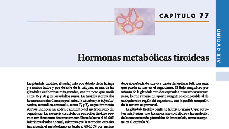 Hormonas Metabólicas Tiroideas - CAP 77 Guyton - Studocu