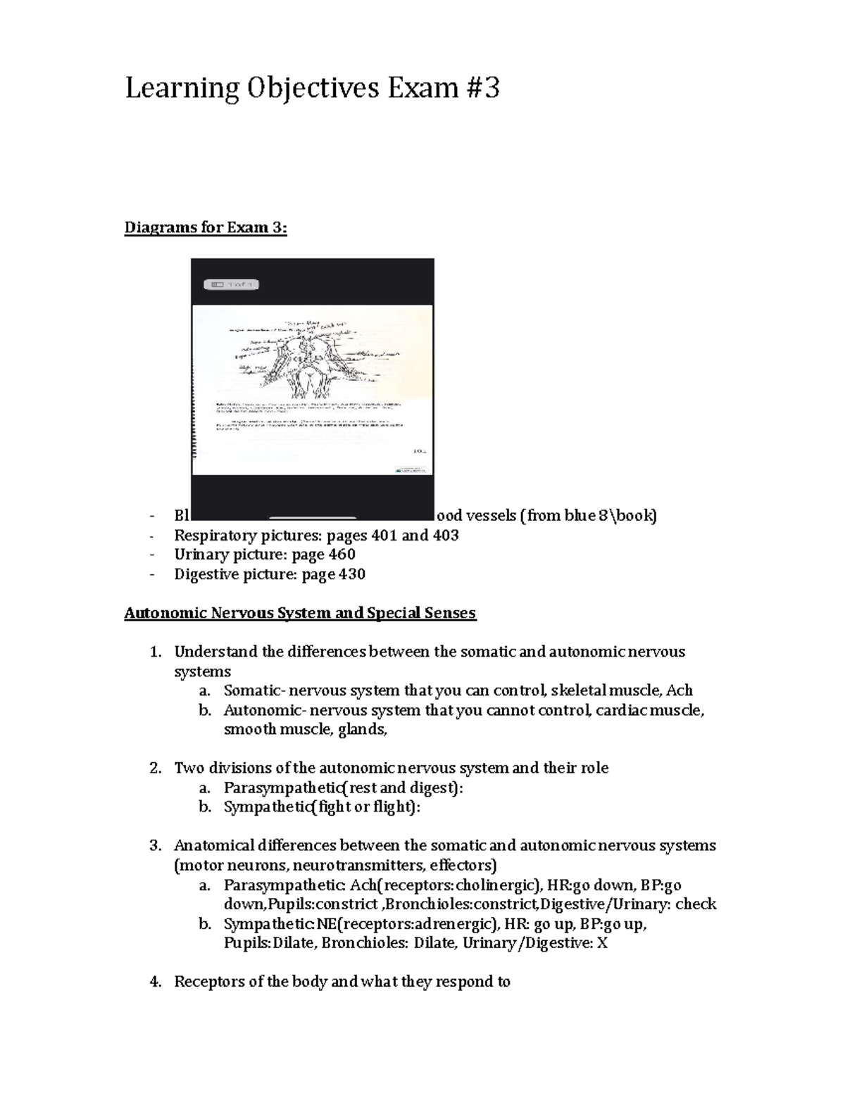 Learning Objectives for Exam 3: Blood Vessels & Nervous System Insights ...