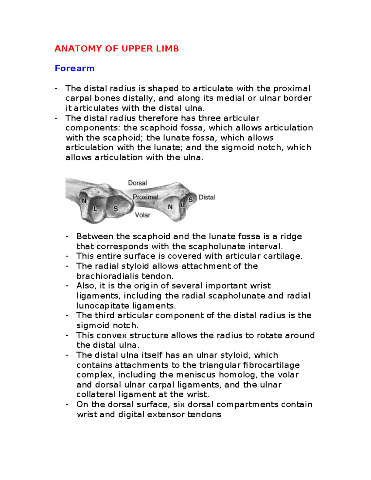 Anatomy of Upper Limb: Forearm and Elbow Structures - Studocu