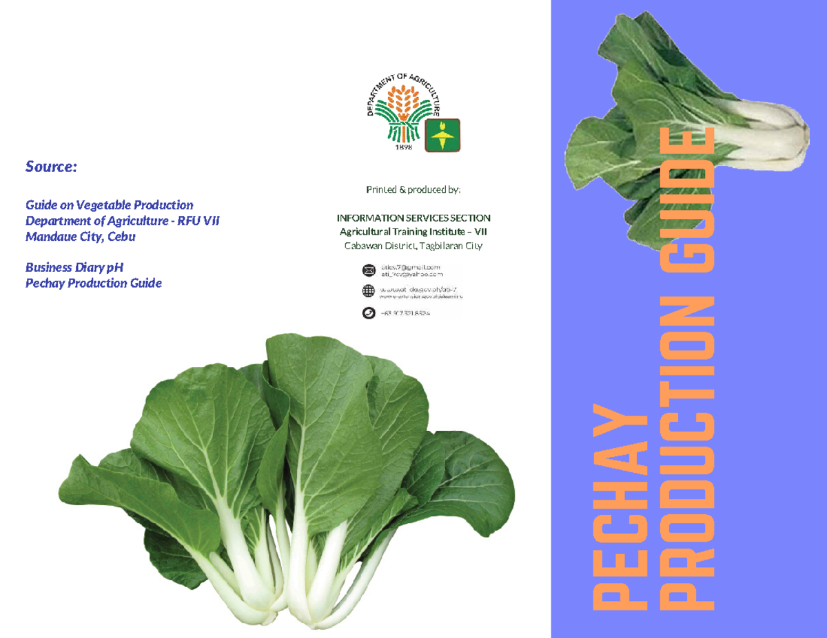 Pechay Production Guide: Crop Production Module (Agriculture 101) - Studocu