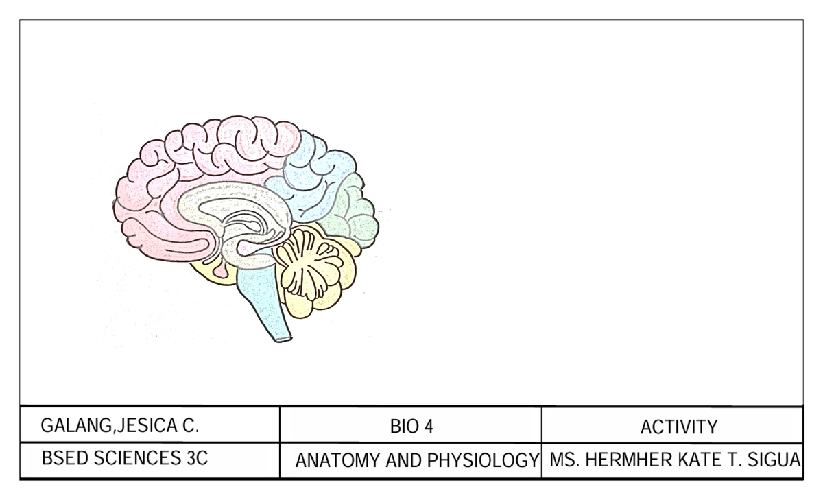 bio4 nervous system - Microbial Ecology - GALANG,JESICA C. BIO 4 ...