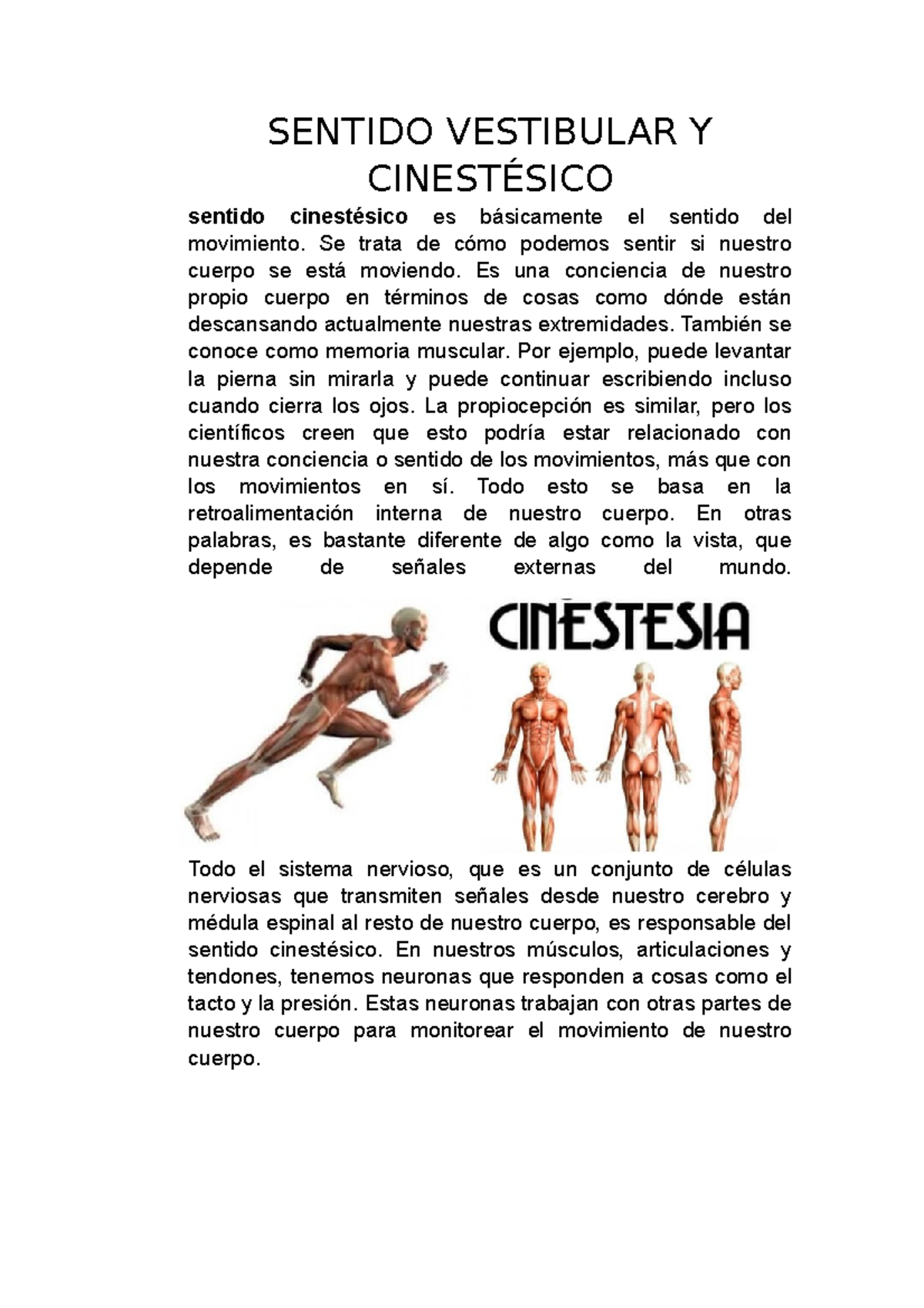Sentido Vestibular Y Cinestésico - SENTIDO VESTIBULAR Y CINESTÉSICO ...