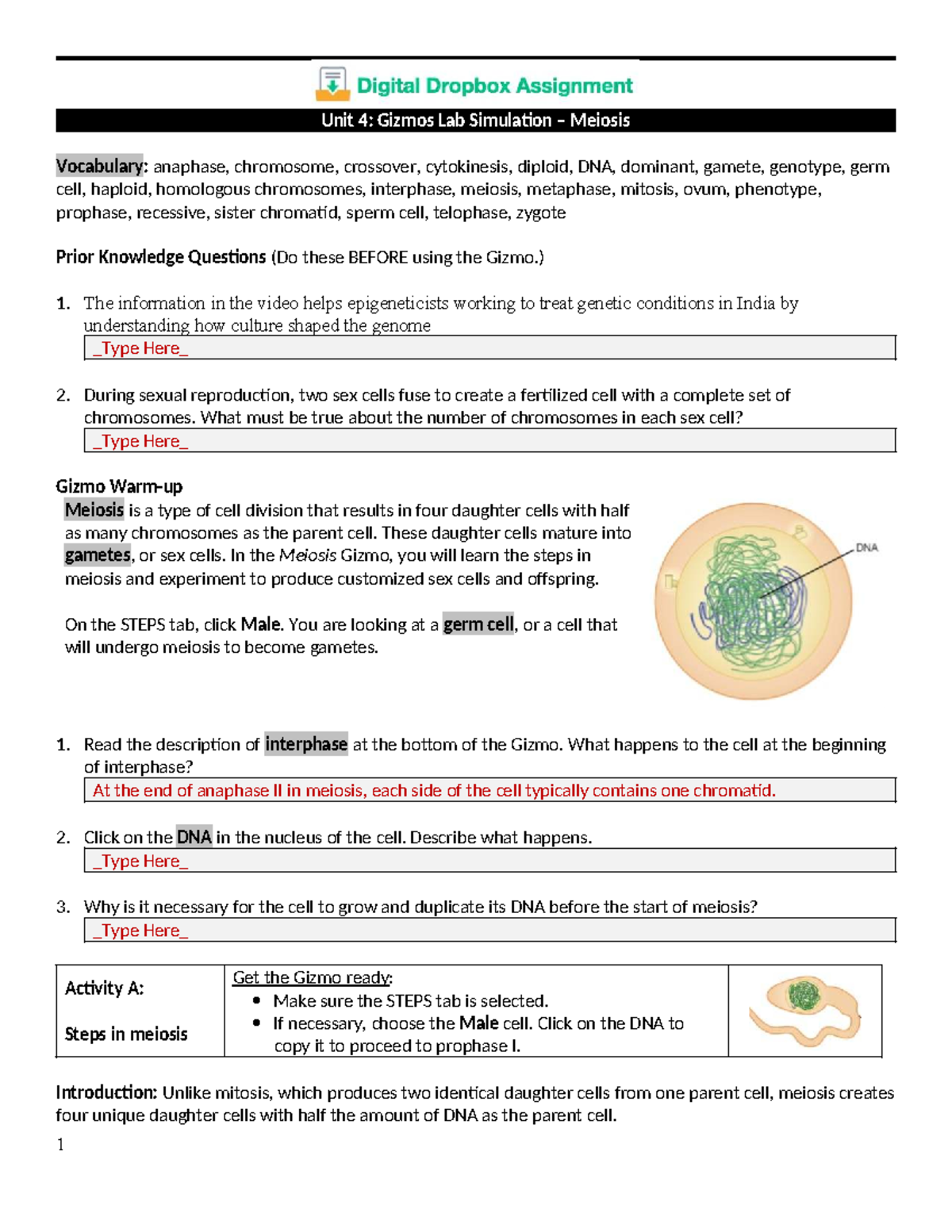 Unit 4: Gizmos Lab Simulation on Meiosis Vocabulary and Activities ...