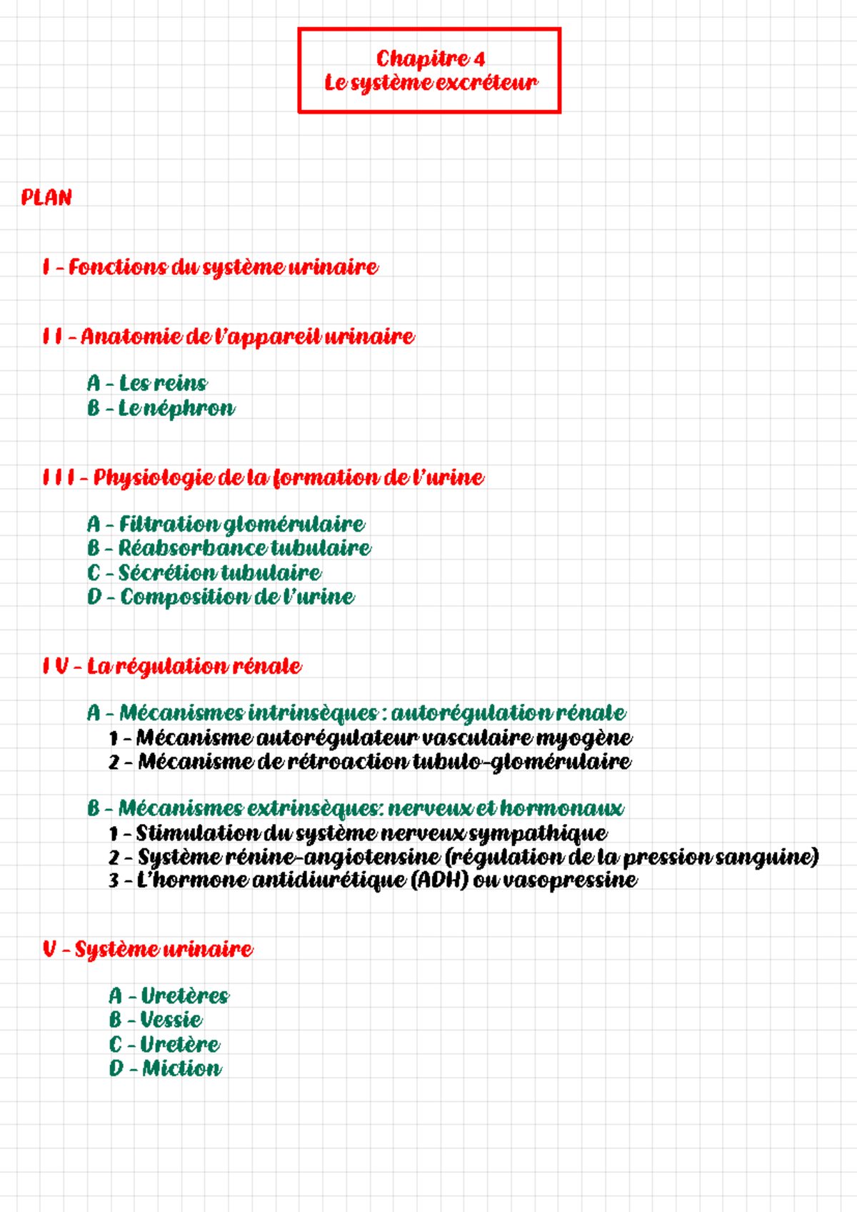 Chapitre 4 - Détails du Système Excréteur et sa Physiologie - Studocu