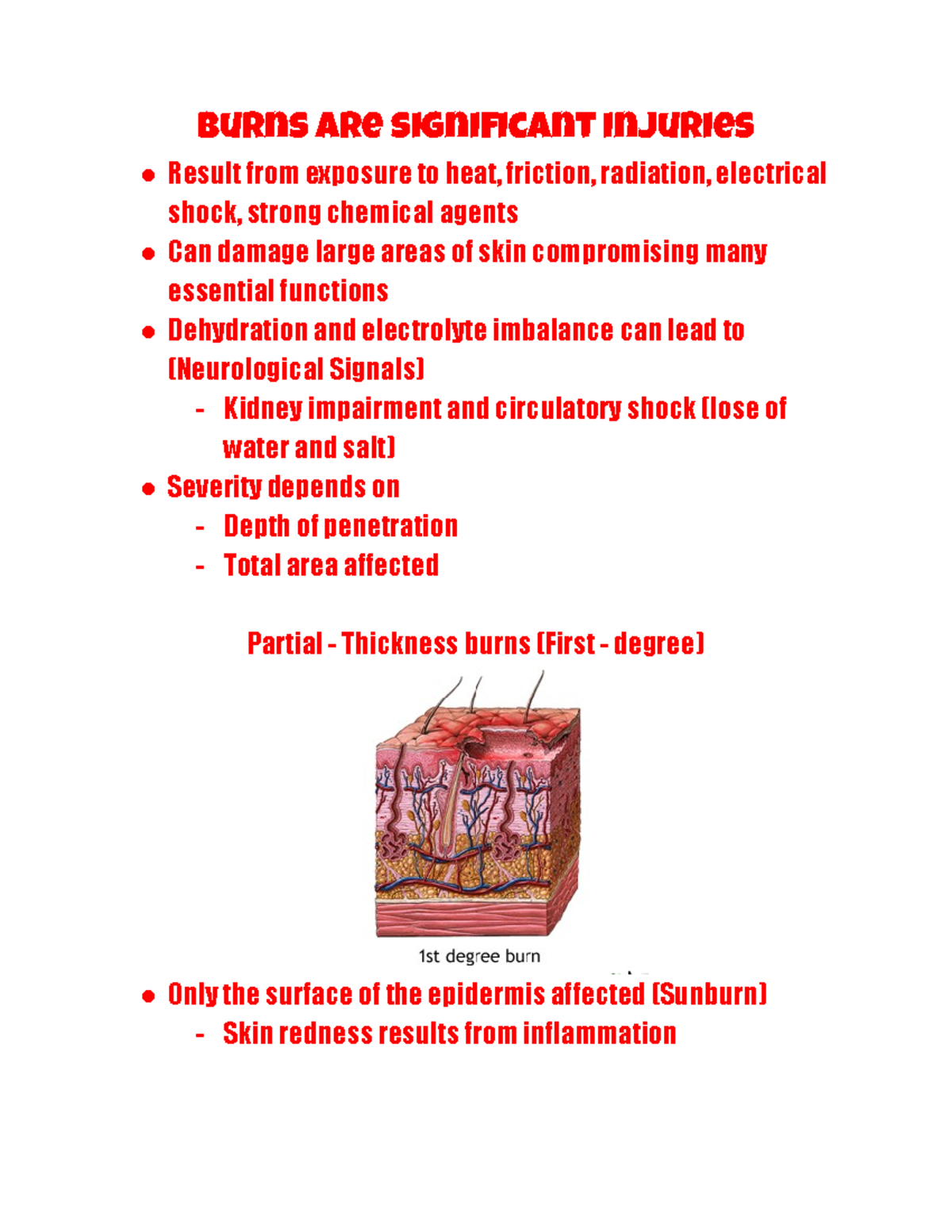 Anatomy of Burns: Understanding Types, Treatment, and Risks - Studocu