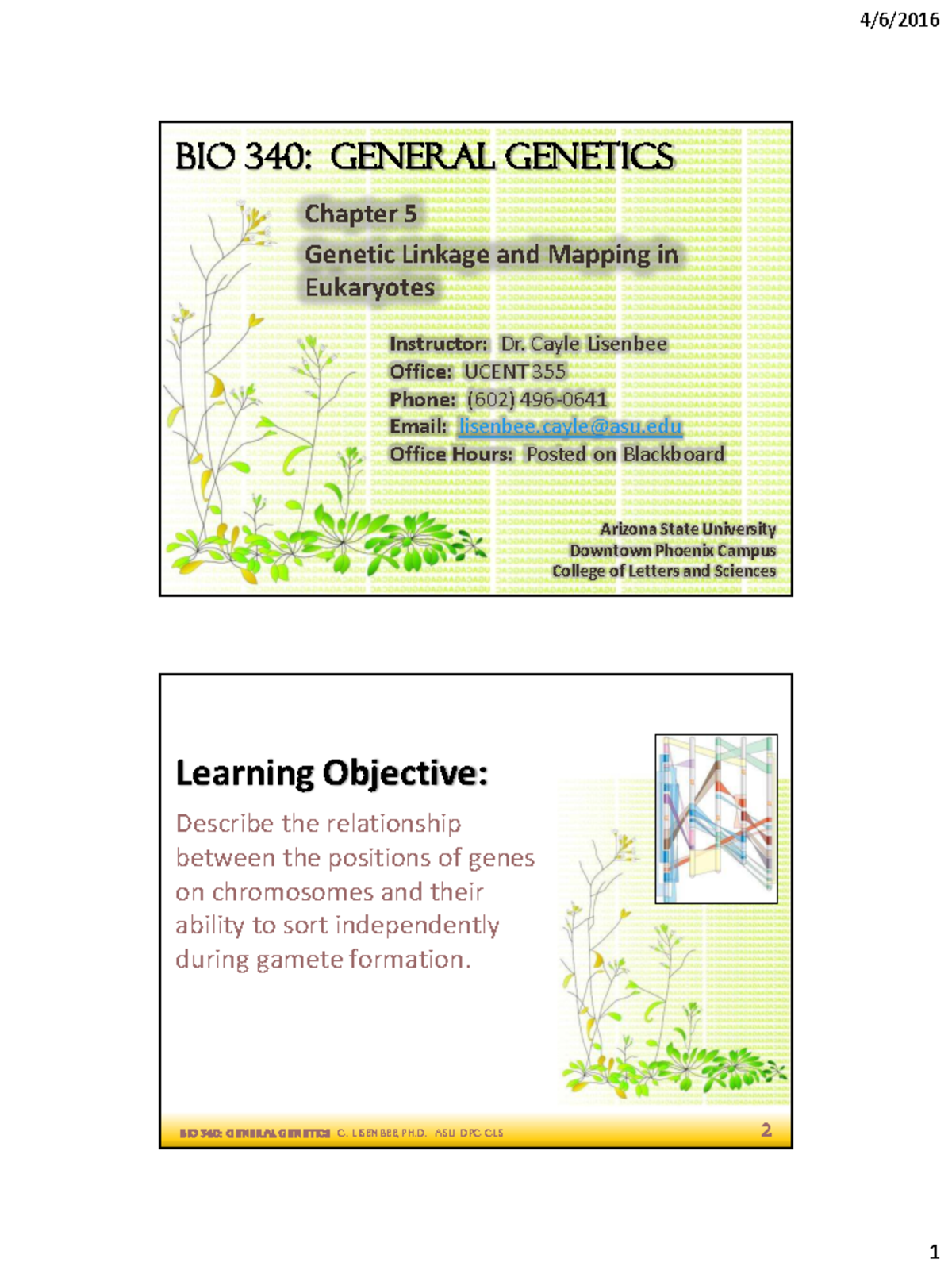 Bio 340: General Genetics Chapter 5 - Genetic Linkage and Mapping - Bio 340: General Genetics C ...