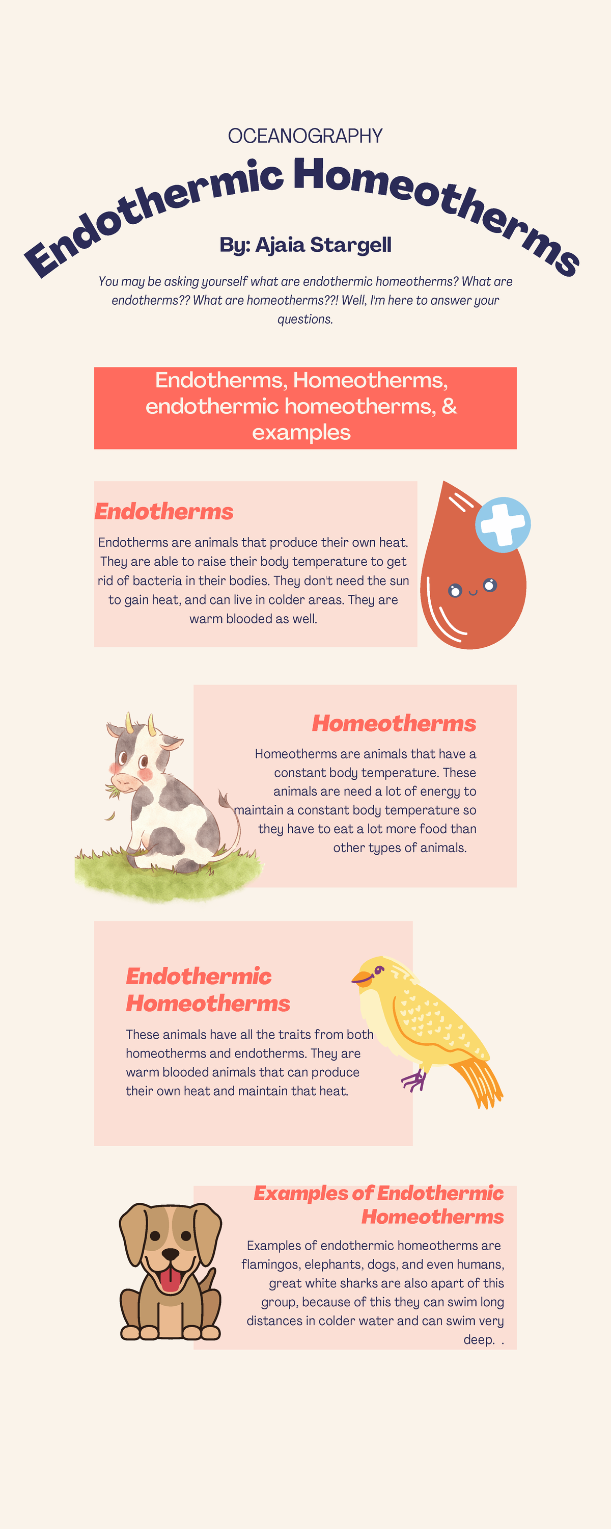 Endothermic Examples Animals