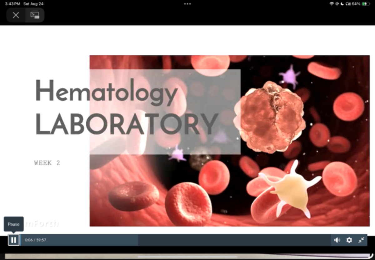 Overview Of The Hematology Clinical Laboratory - A short timeline of ...