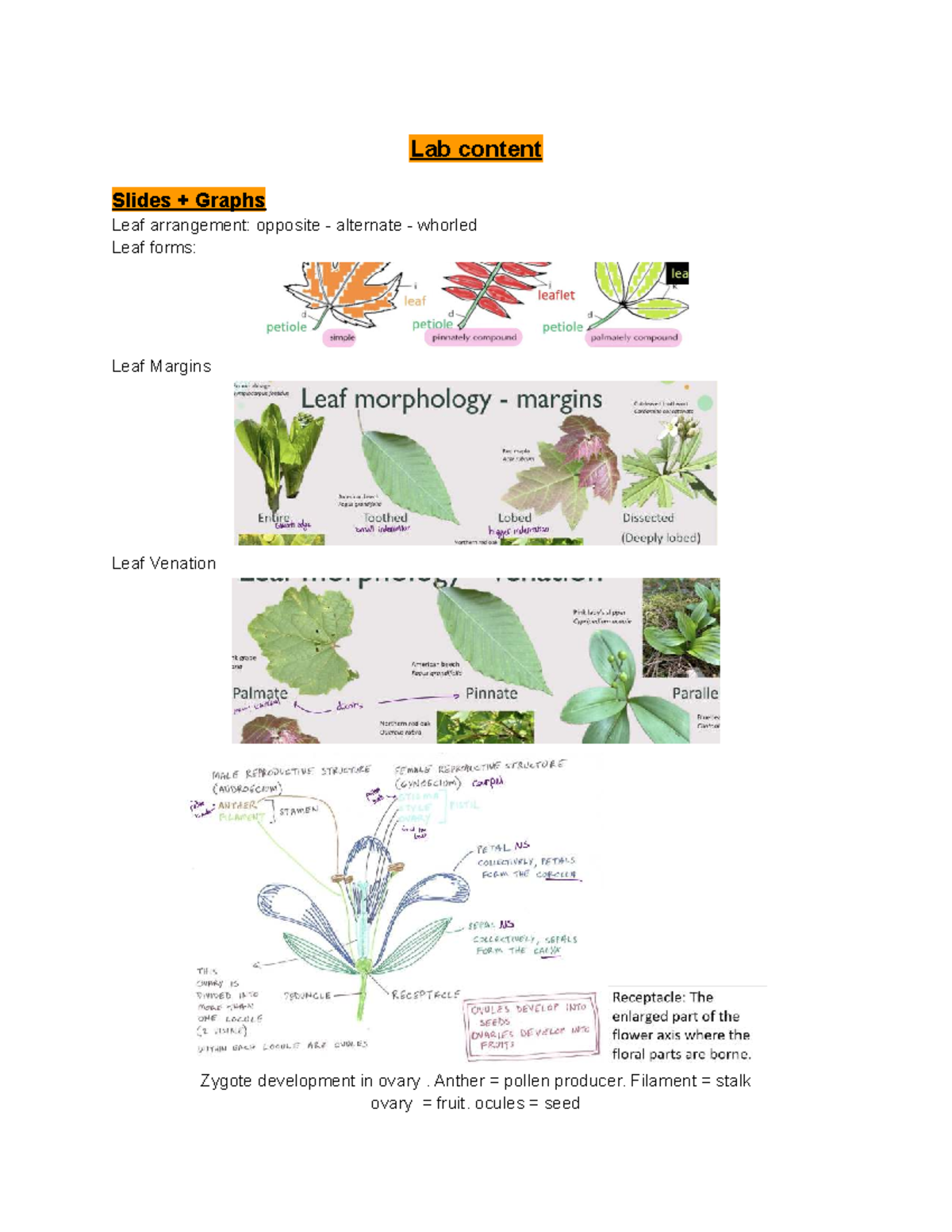 Lab 1-3: Summaries of Leaf Structures and Plant Reproduction - Studocu