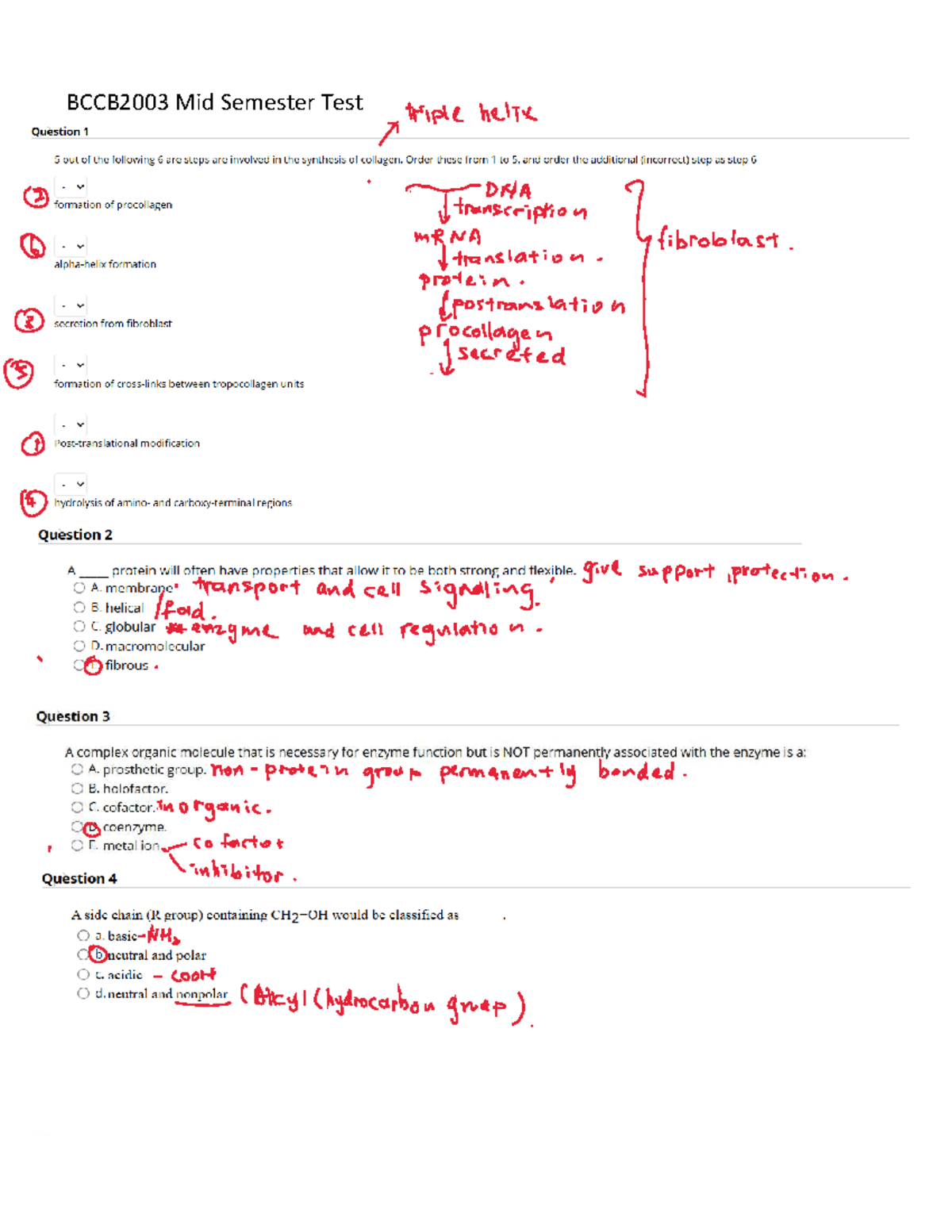 BCCB2003 Mid Semester Test - Studocu
