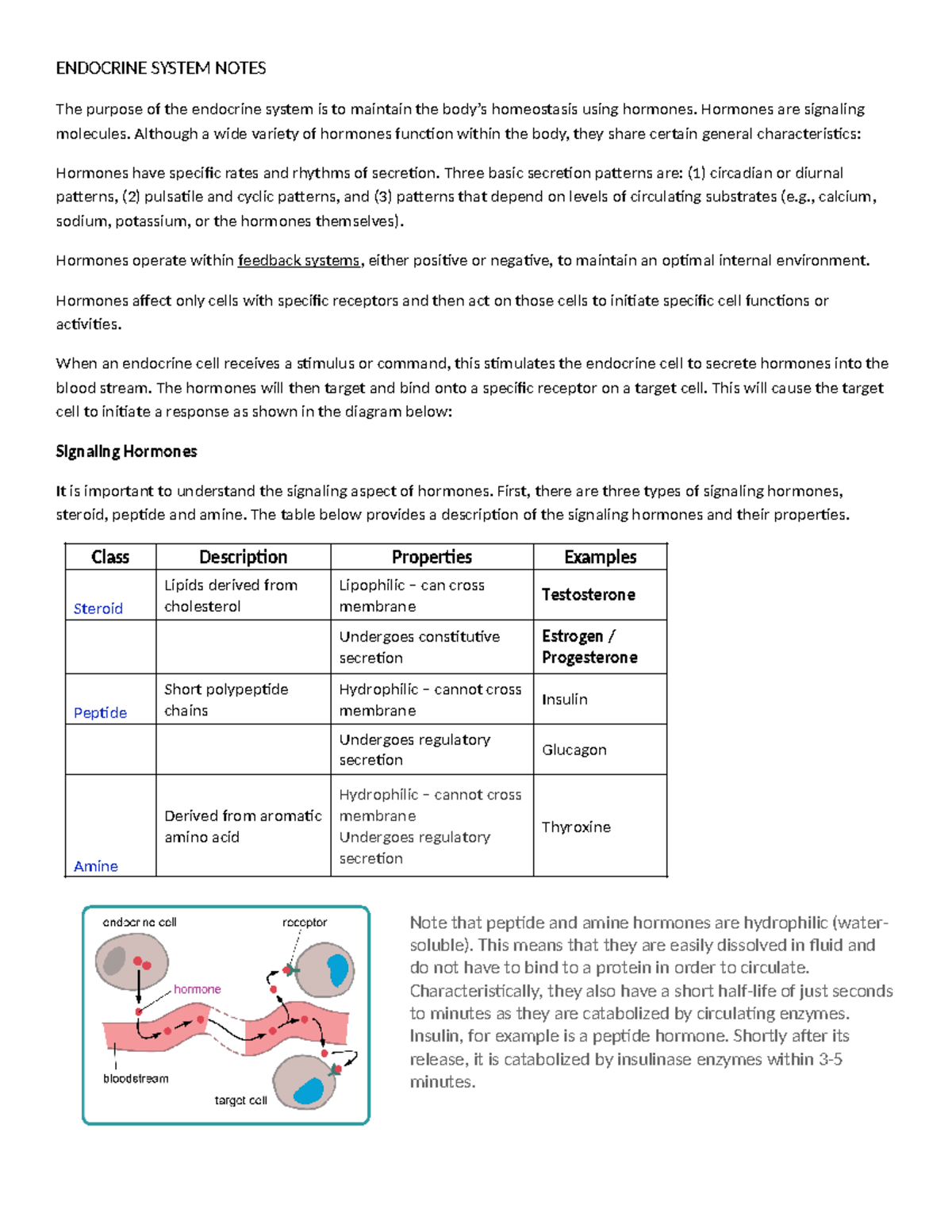 Endocrine System Overview and Hormones (EDAPT) - Studocu