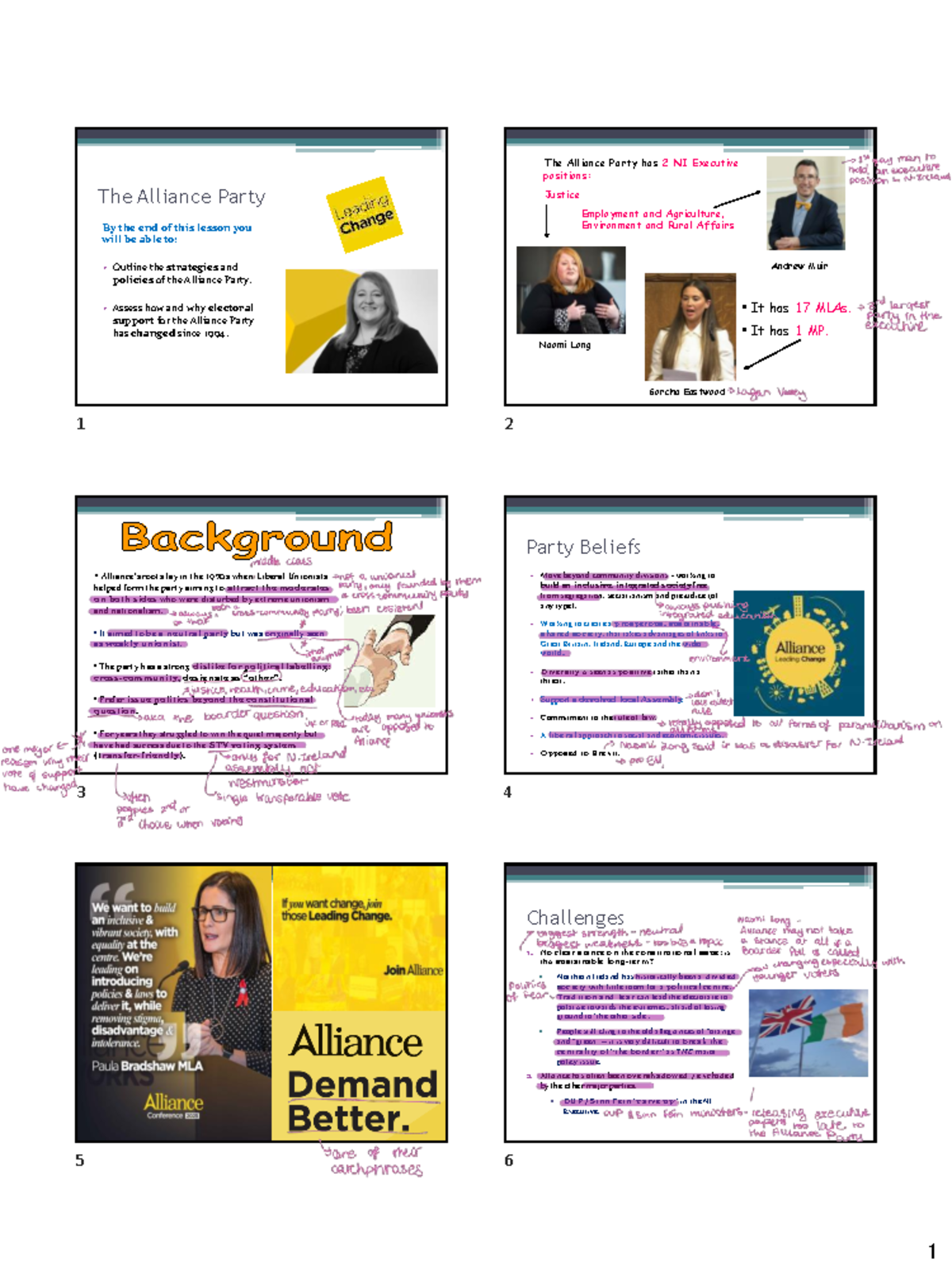 Alliance Party Strategies and Electoral Support Analysis (POL 101 ...