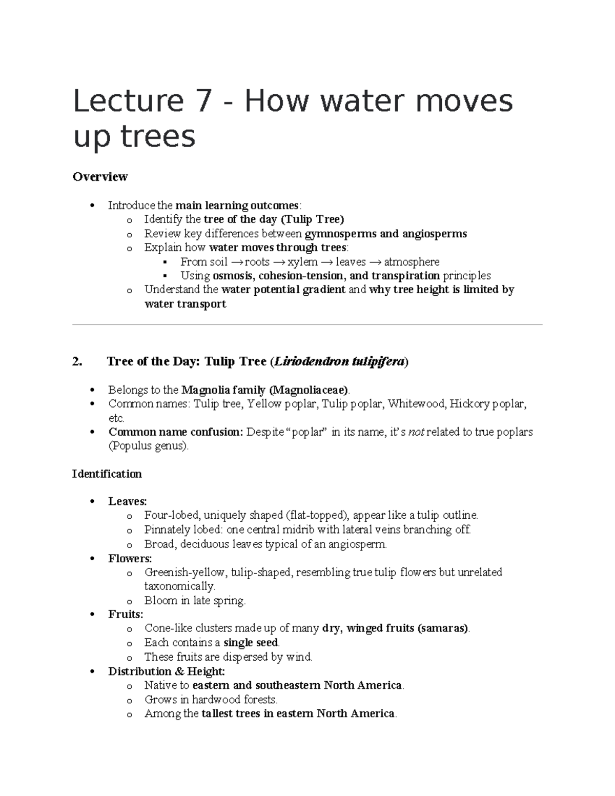Lecture 7: Water Movement in Trees - Tulip Tree & Transport Mechanisms ...