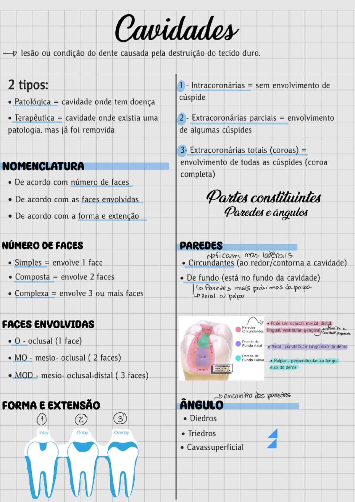 Cavidades Dentárias: Classificação e Tratamento - Dentí Stica 4⁰ ...