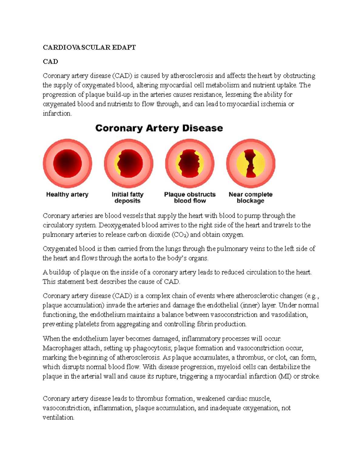 CARDIOVASCULAR EDAPT CAD: Comprehensive Overview of Heart Disease - Studocu