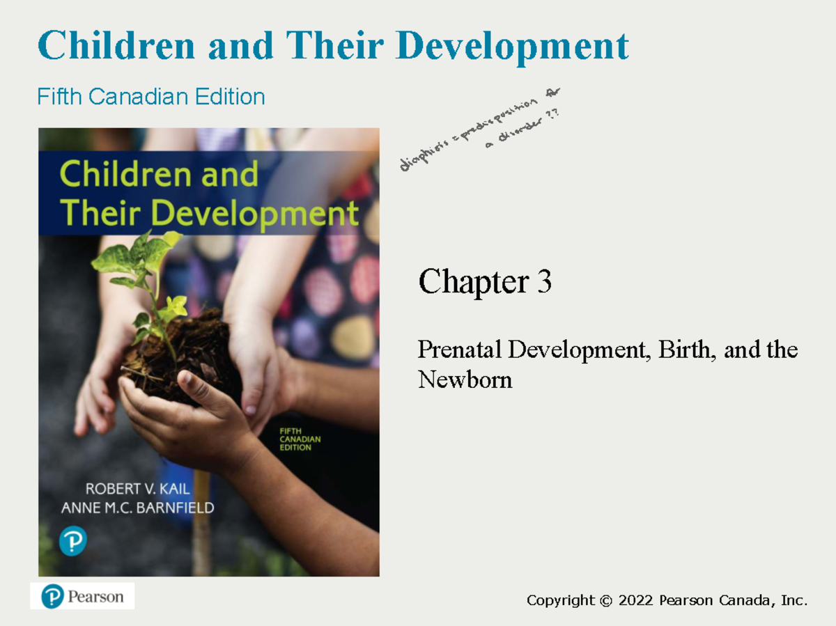 Chp 3 Prenatal Development: Key Insights & Lecture Notes - Studocu