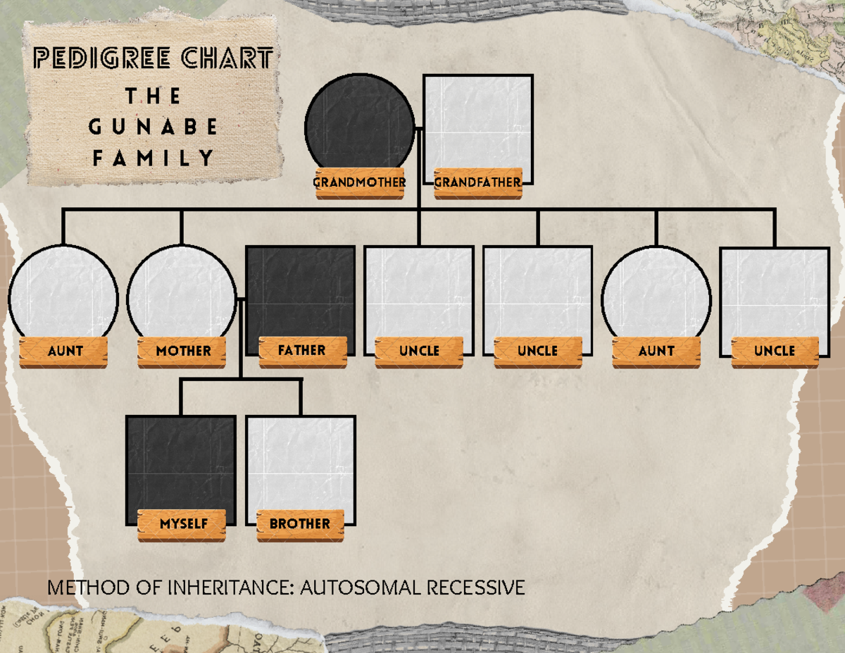 Family Pedigree Chart - English 1 - PEDIGREE CHART T h e G u n a b e F ...