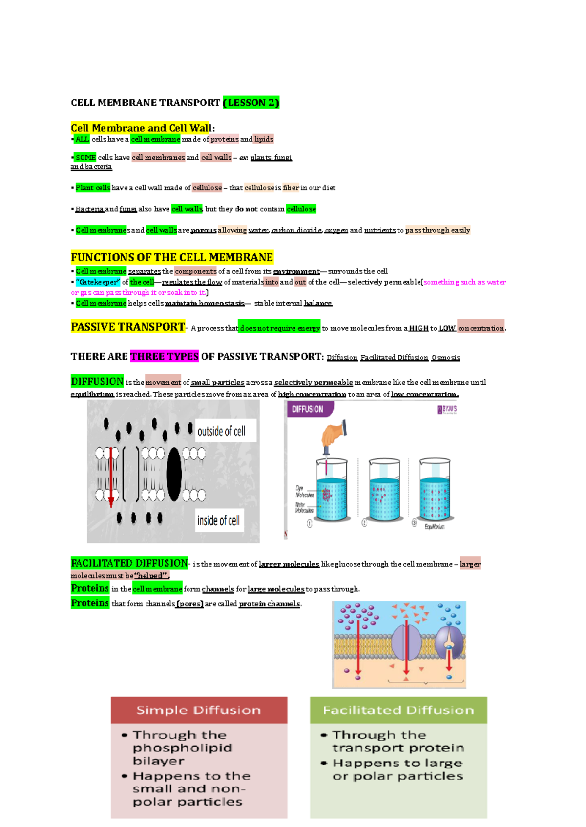Anaphy Lesson 2 - Cell Membrane Transport Overview and Functions - Studocu