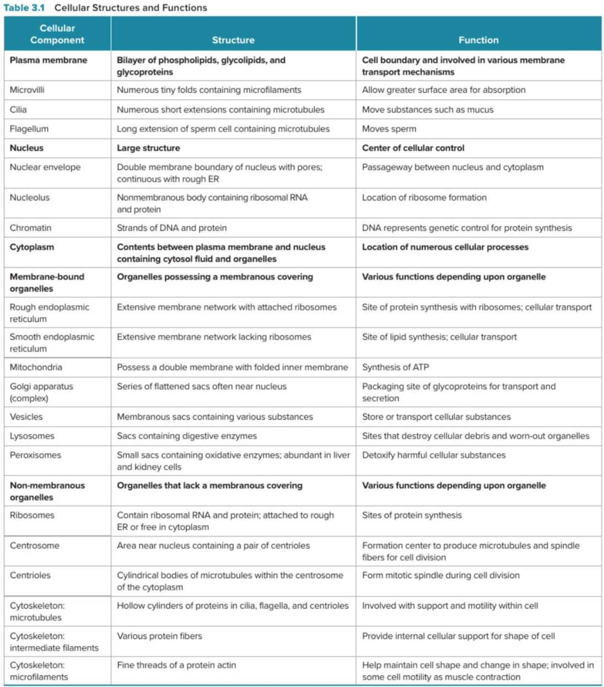 Comprehensive Study Notes for Course XYZ - Cell Structures & Functions ...