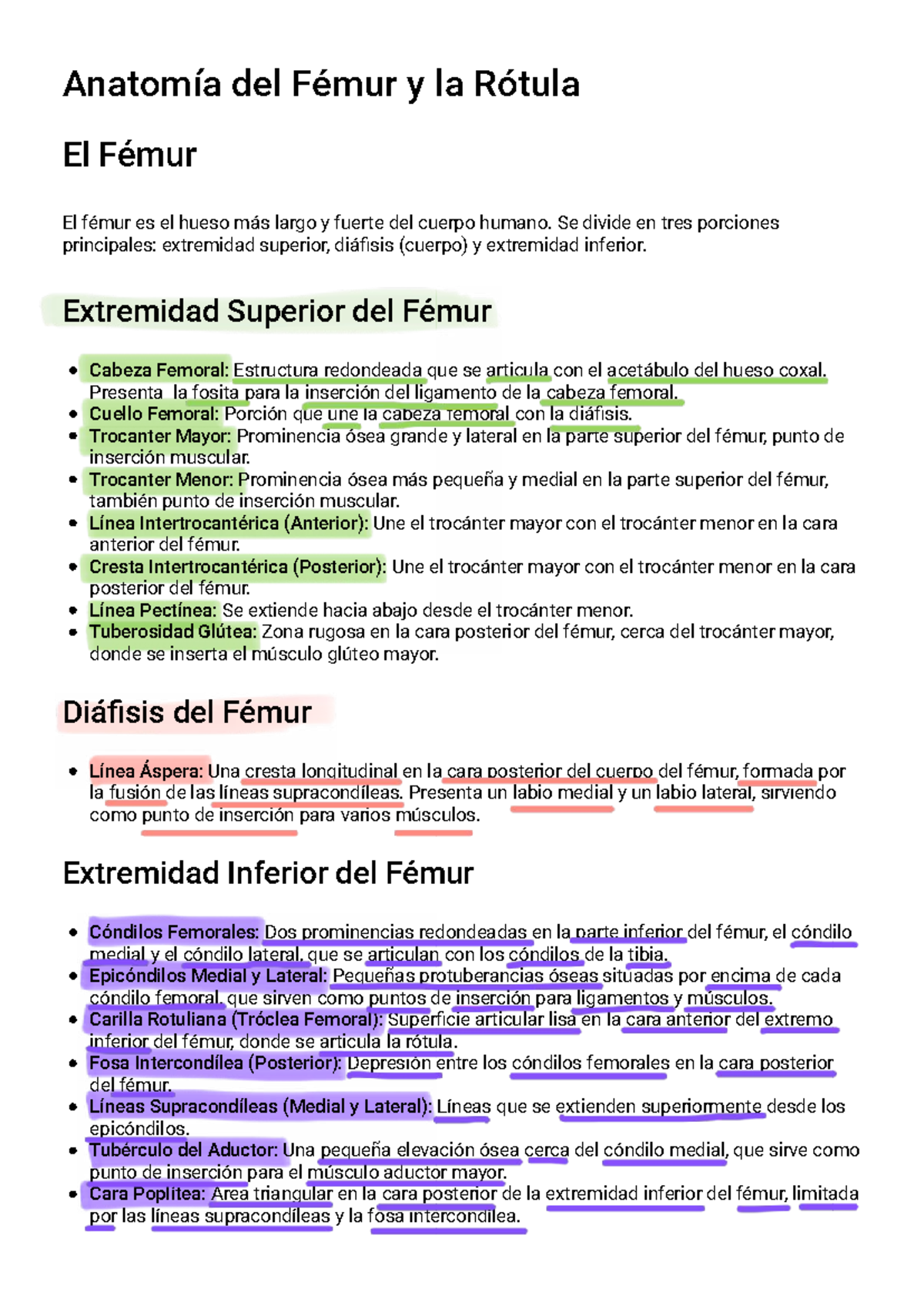 Resumen del Fémur y la Rótula - Miembro Inferior - Studocu