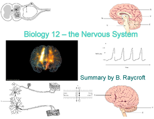 Anatomy and Physiology - Grade: 12 - High School - Canada - Studocu
