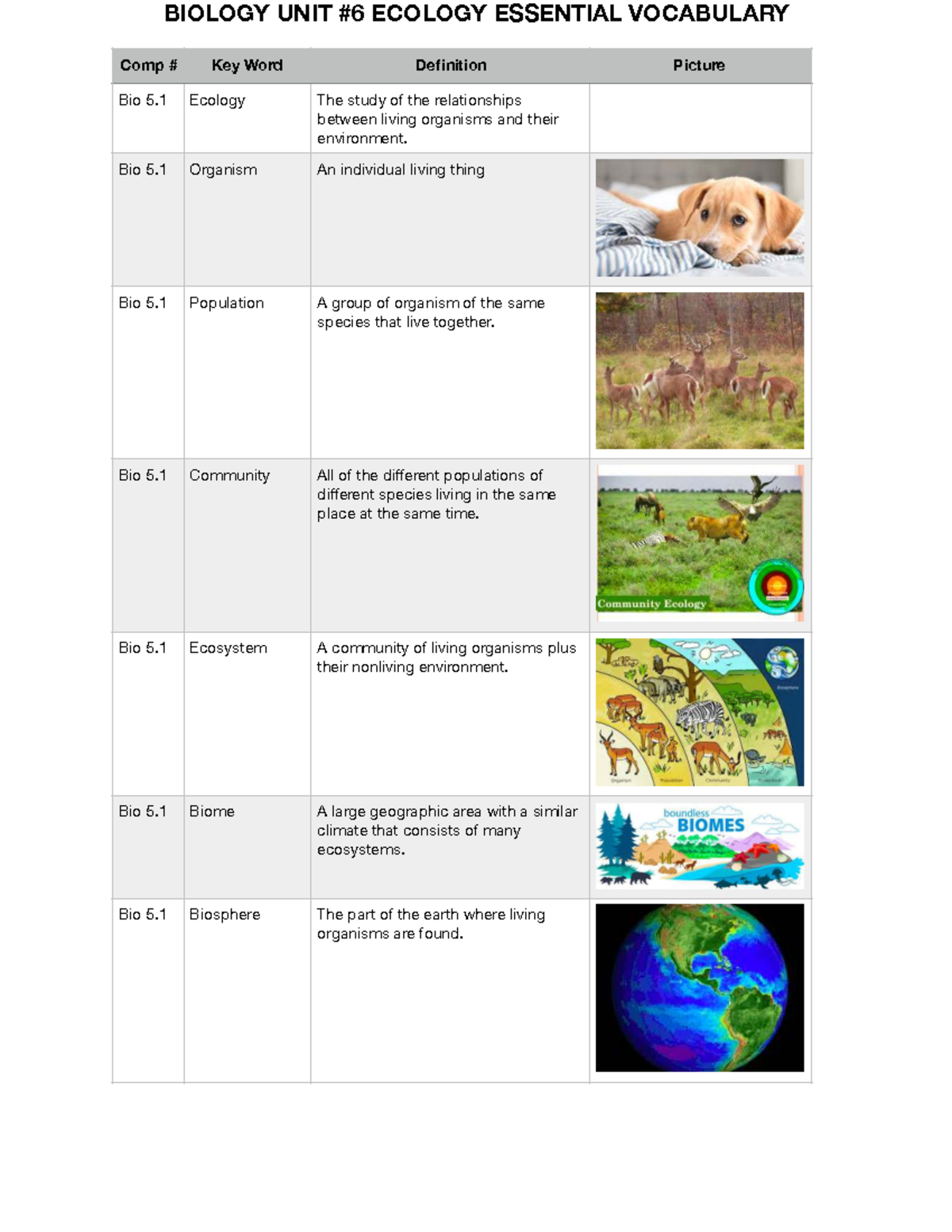 Unit #6 Ecology Vocabulary - Key Terms and Definitions (Bio) - Studocu