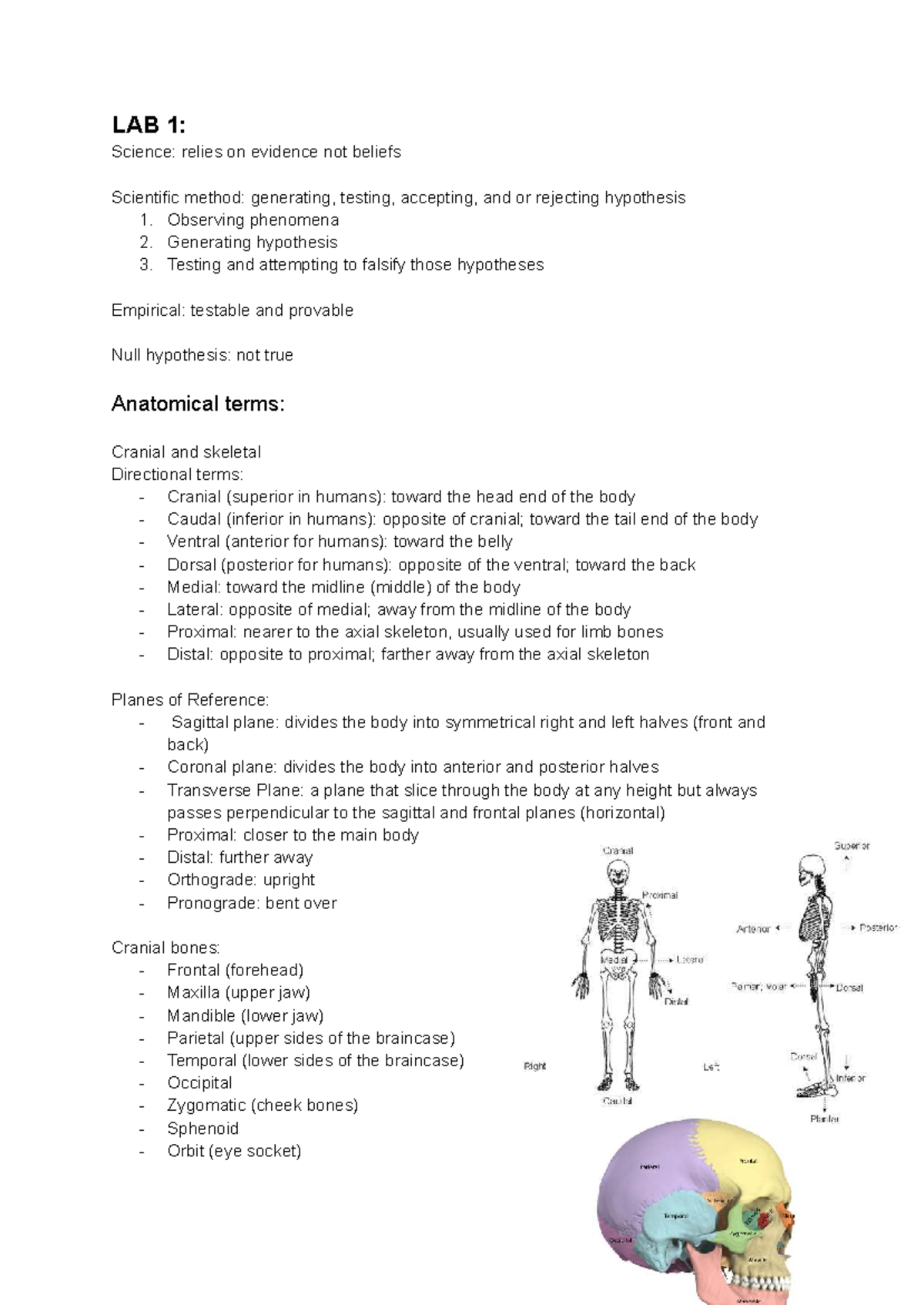 LAB Overview: Primate Taxonomy, Diet, and Functional Adaptations - Studocu