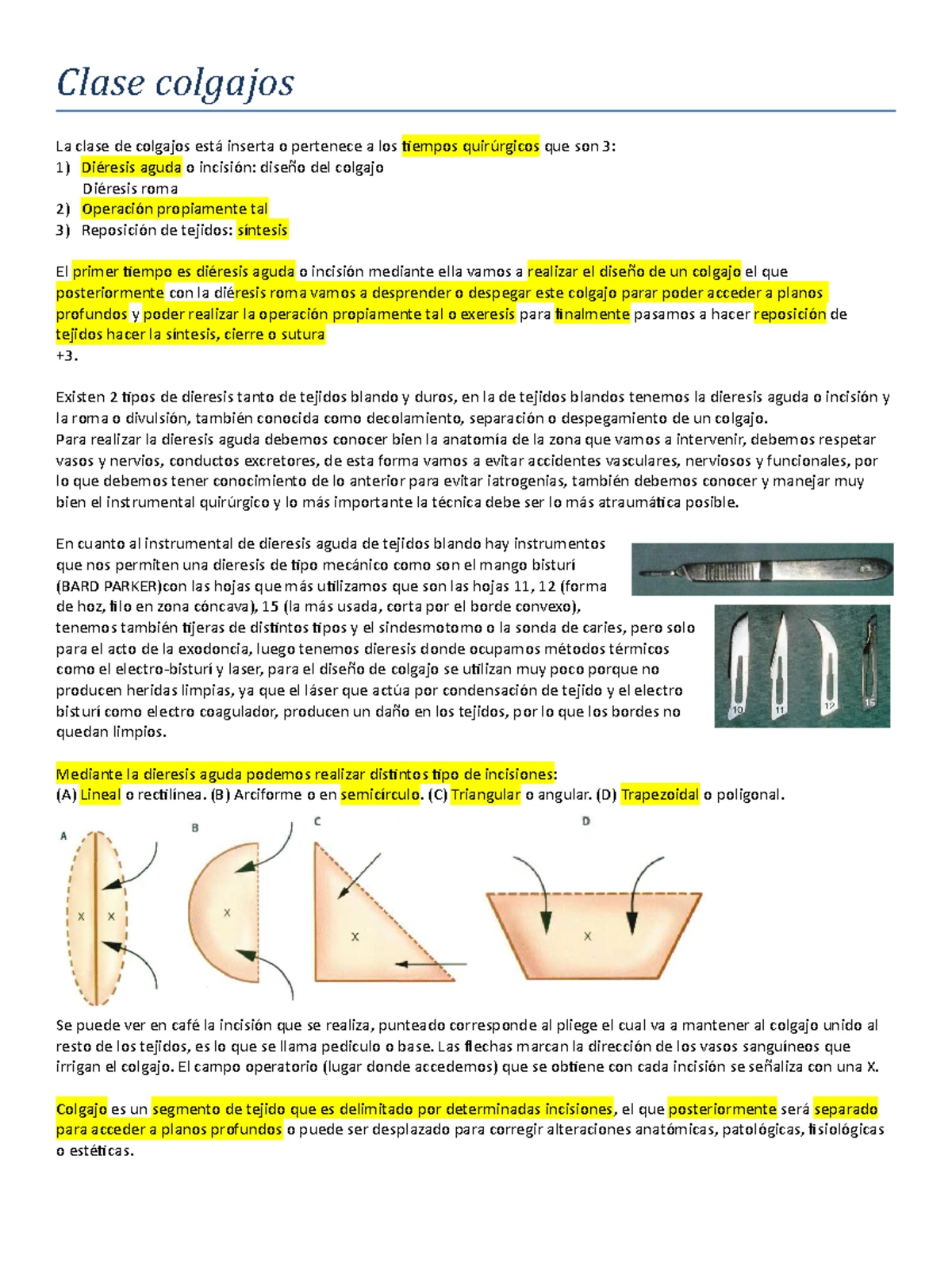 519480999 Líneas de Terminación en Prótesis Dental - Studocu