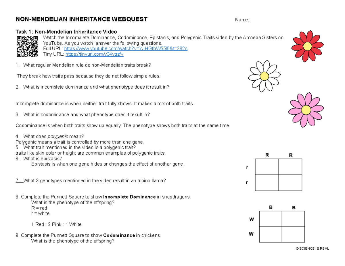 Kale Seniff - Non-Mendelian Inheritance Webquest Tasks & Notes - Studocu