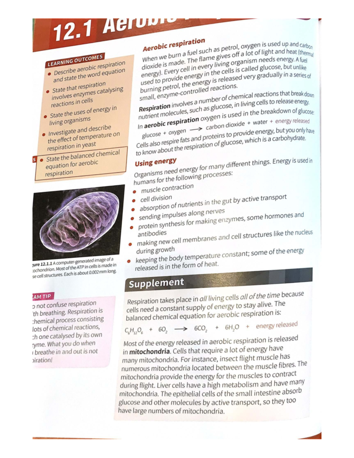 IGCSE PE: Chapter 12.1 - Aerobic Respiration Overview and ...