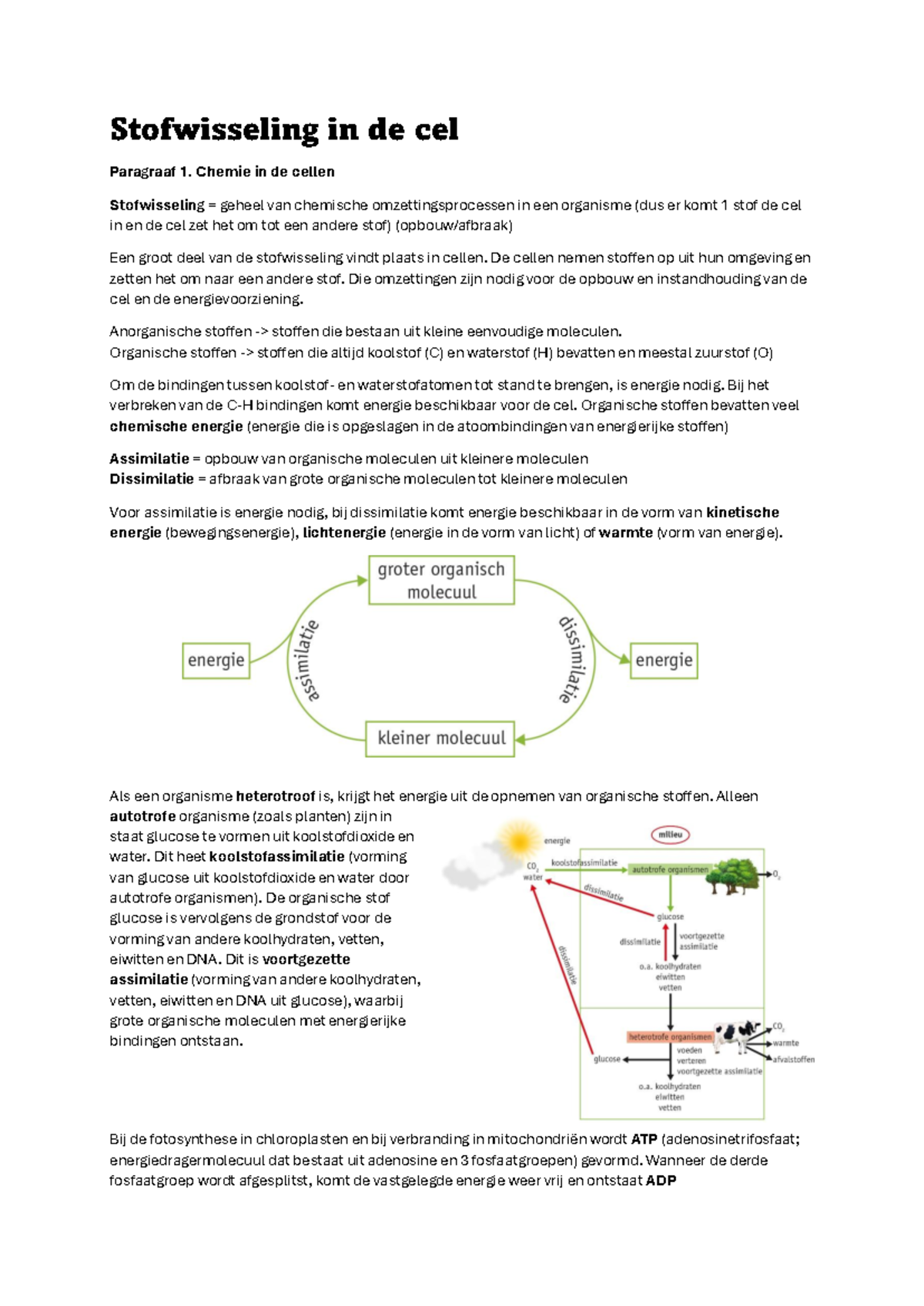 Biologie Samenvatting H9: Stofwisseling en Enzymen (TW1) - Studeersnel