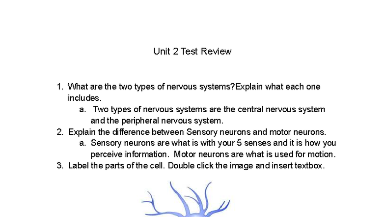 Unit 2 Nervous System Test Review Guide: CNS & PNS Explained - Studocu