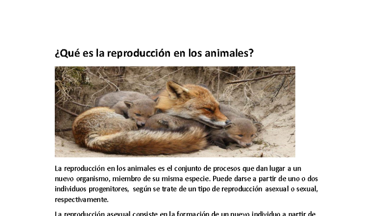 Reproducción en Animales: Asexual y Sexual - Studocu