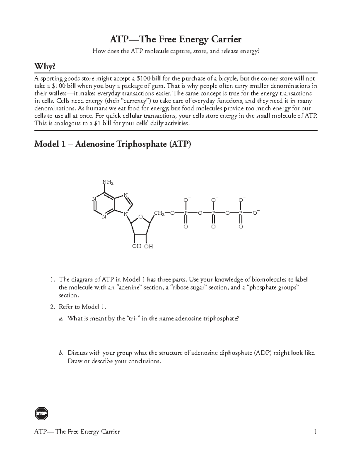 ATP as a Free Energy Carrier: Understanding Its Role in Energy ...