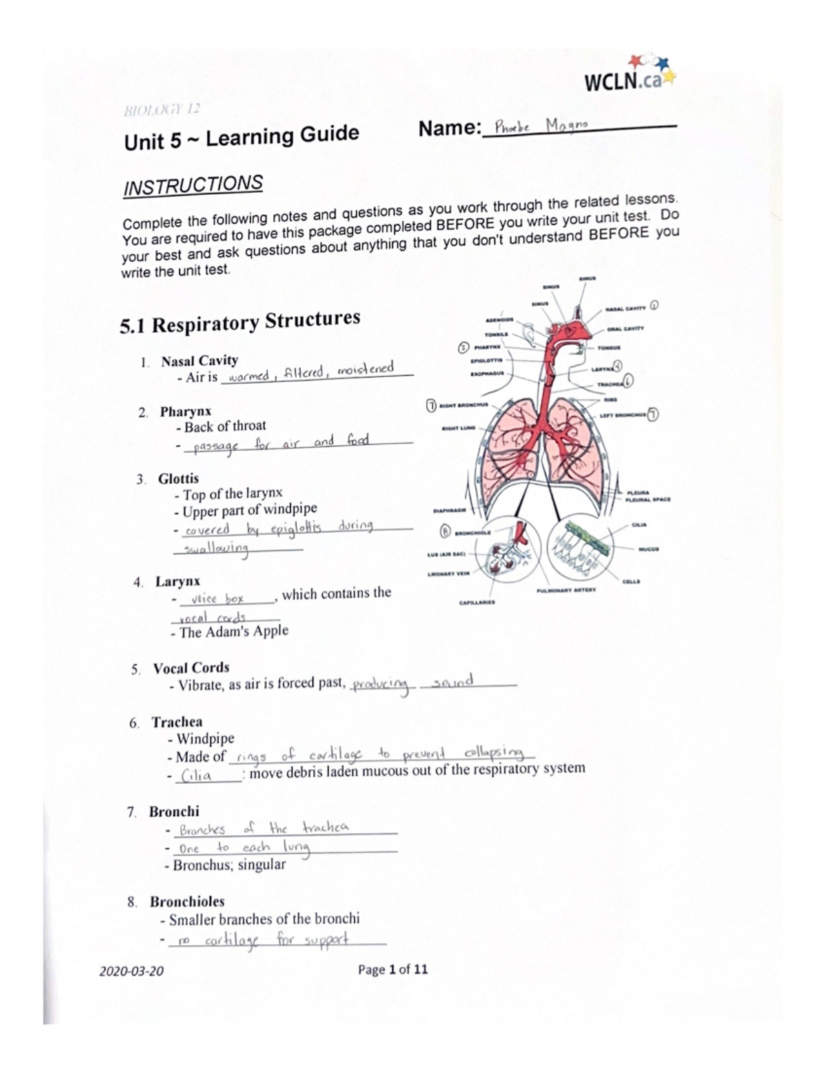 BIOLOGY 12 Unit 5 Learning Guide: Comprehensive Overview of the ...