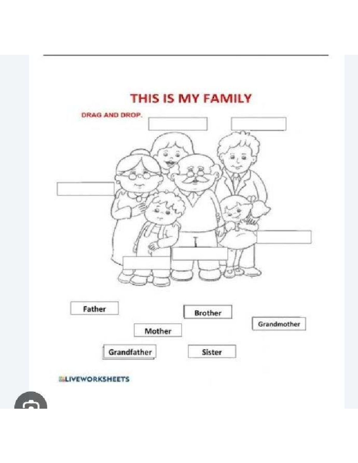 Family Drag and Drop Activity - PreK Worksheets - Studocu