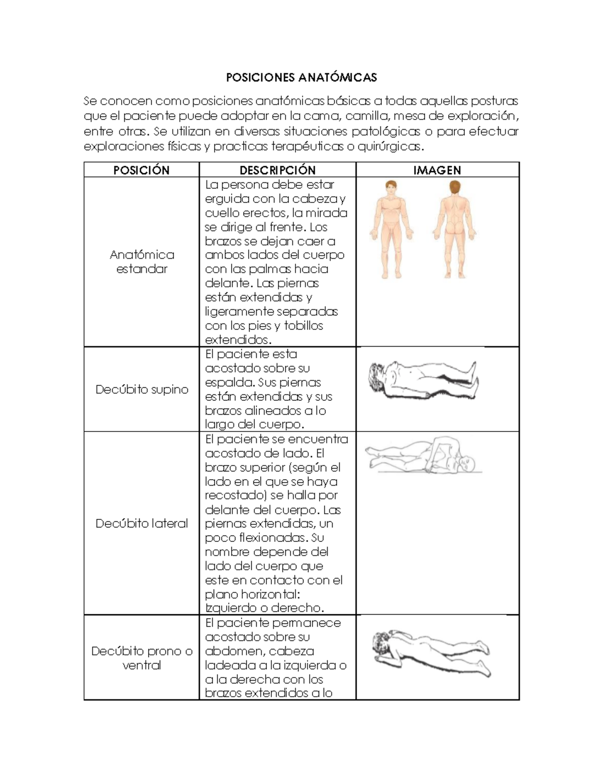 Posiciones anatómicas del cuerpo humano para estudios clínicos - Studocu