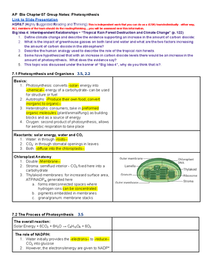 AP Biology Ch 6 - 1 AP Bio Chapter 06 Group Notes: Metabolism - Energy ...