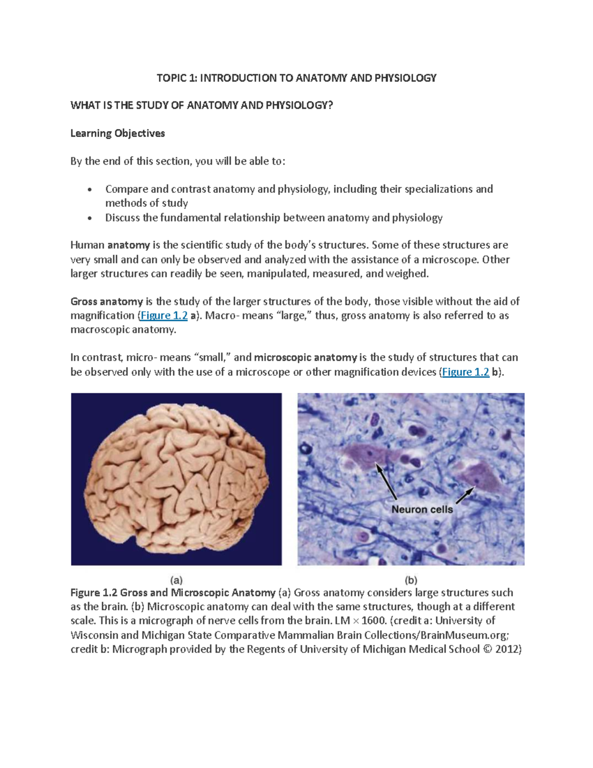 Introduction to Anatomy and Physiology: Homeostasis & Feedback (BIO 101 ...
