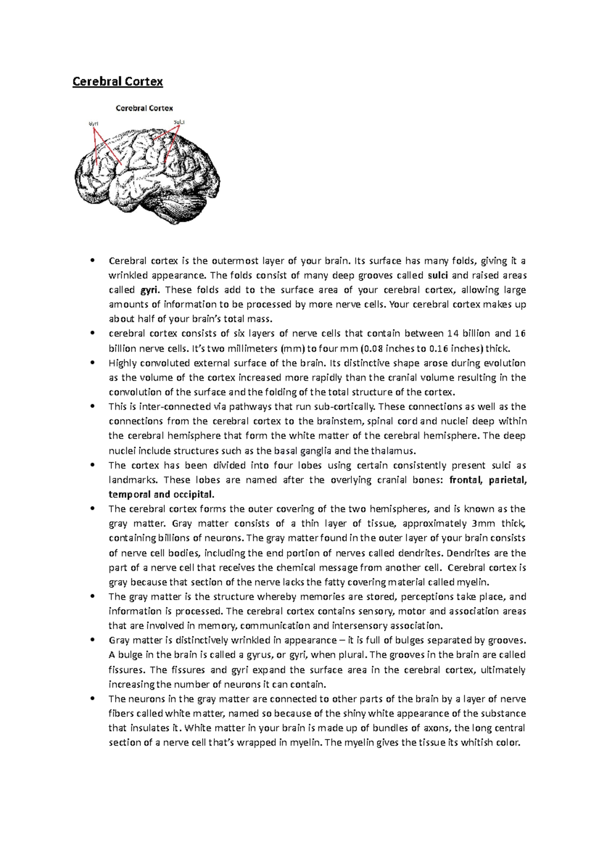 Cerebral Cortex Notes for Psychology 101 - Key Concepts and Functions ...