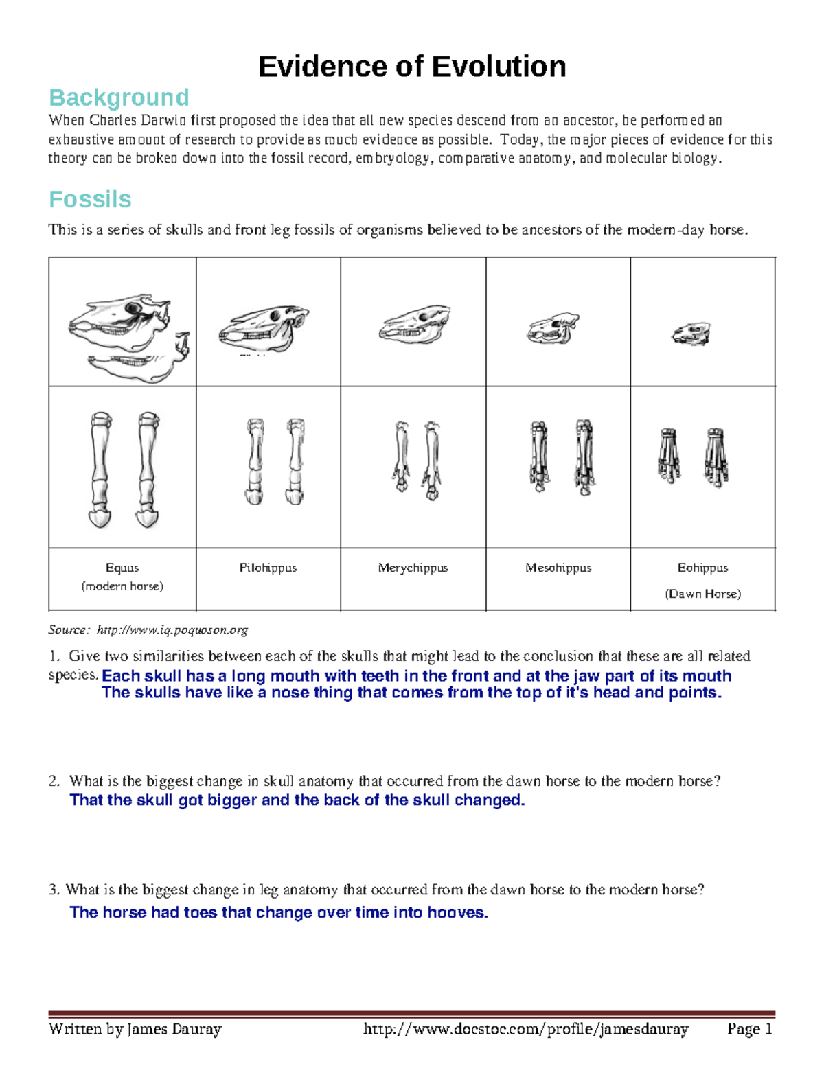 Evidence of Evolution Packet (BIO 101) - Comprehensive Study Guide ...